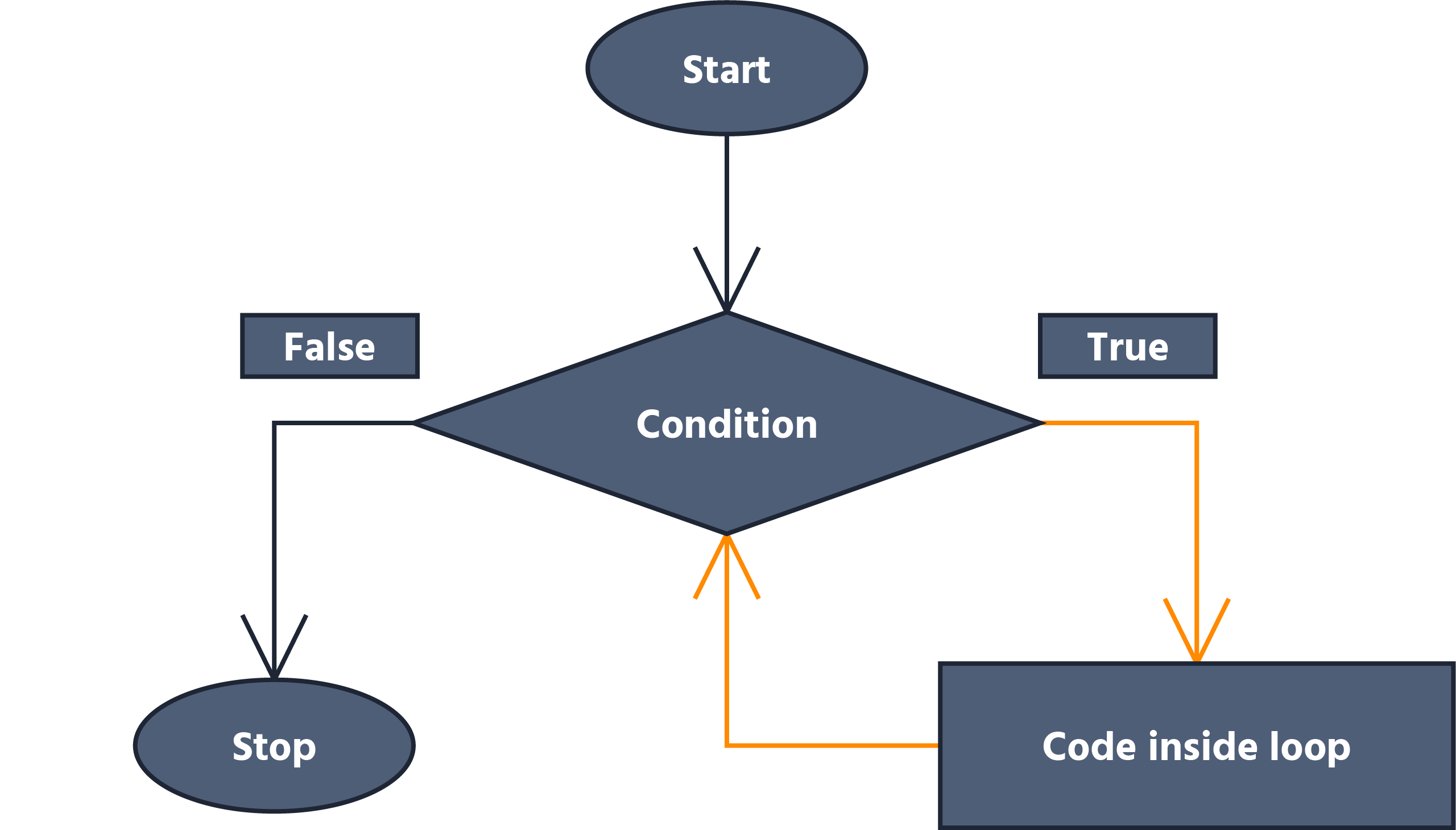 While Loop